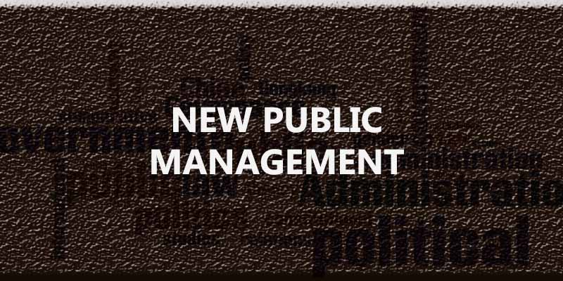 Factors that given rise to New Public Management perspective - Owlgen