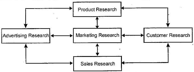 Explain the Scope of International Marketing Research. - Owlgen