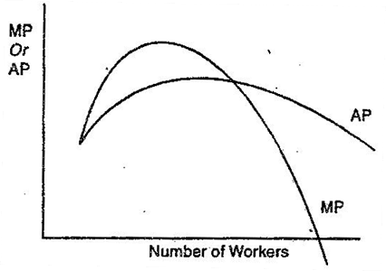Why MP curve is greater than or less than AP curve when AP curve is rising or falling. - Owlgen