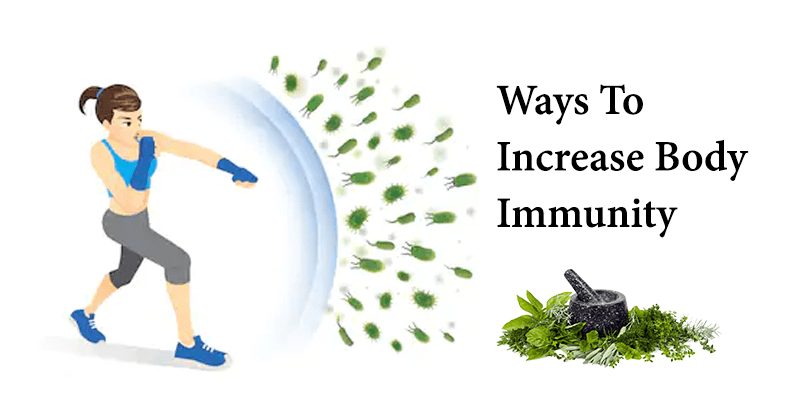 How to Increase Immunity? | Health & Fitness - Owlgen