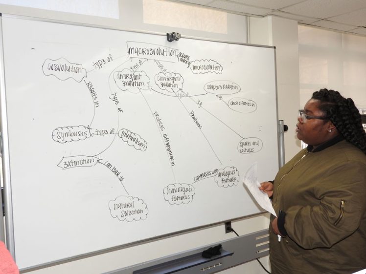 7 Things Every Student Should Know About Concept Mapping - Owlgen