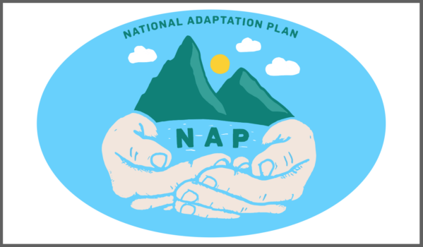 A Roadmap for Resilience: Exploring the National Adaptation Plan - Owlgen